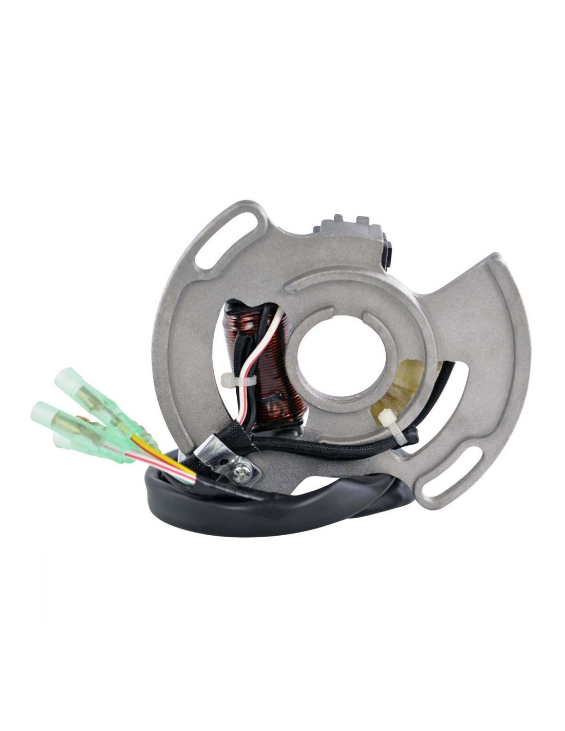 Kit Stator Rotor YFS 200 Blaster OEM 5VM-85560-00-00 2XJ-85560-M1-00